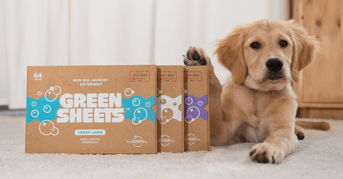 Pet Safe Cleaning Products In The UK, What To Use And What To Avoid ...